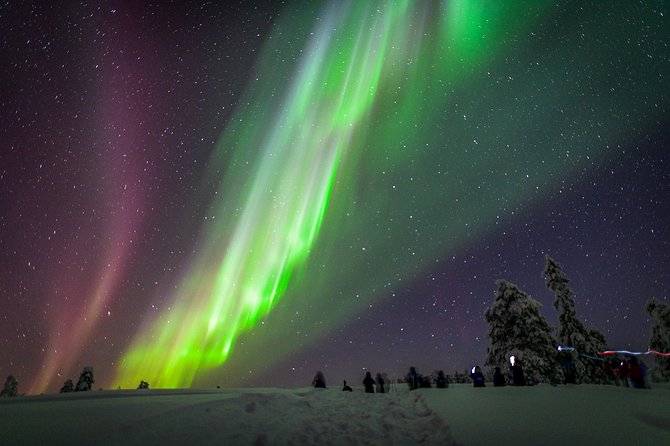 Northern Lights Photography Tour From Rovaniemi - What to Expect During the Tour