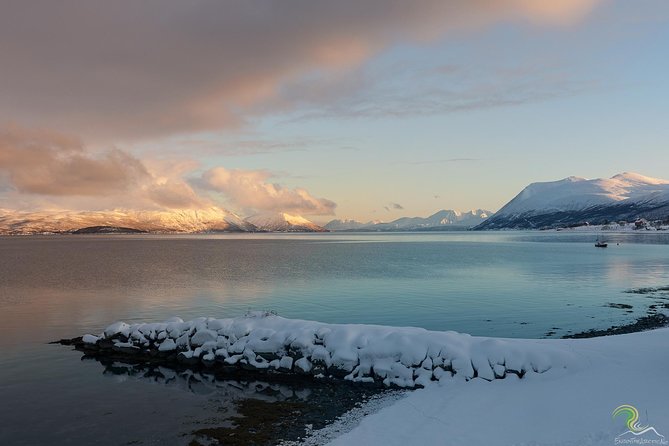 Norwegian Fjords Tour, Including Professional Photos in Tromso - Professional Photography Experience