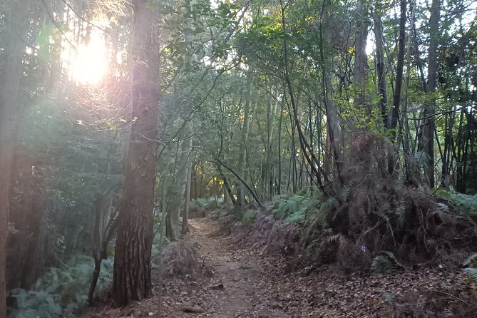 Off The Beaten Path Hike Through Kyotos Best Spots - Highlights Along the Hike