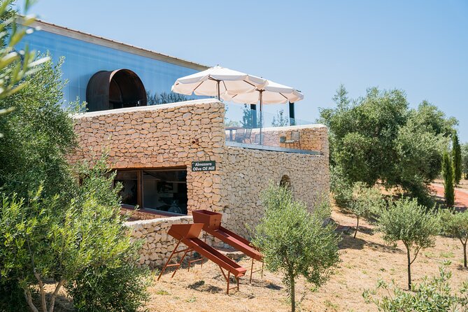 Oil Mill Museum and Olive Oil Tasting Review - Exploring the Olive Groves and Vineyards