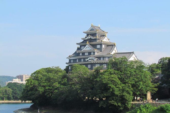 Okayama Half-Day Private Trip With Government-Licensed Guide - Tour Highlights: Crow Castle