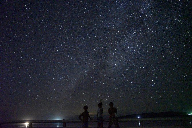 Okinawa Miyako Star Gazing and Subtropical Jungle Night Tour - Exploring the Starry Night Sky