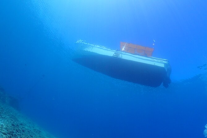 Okinawa Scuba Diving for Certified Divers (3 Boat Dives + Lunch) - Meeting and Pickup
