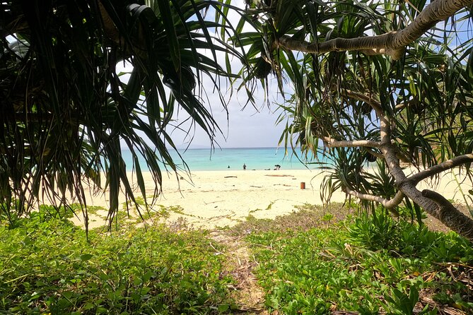 Okinawas Gorgeous Beach & Snorkel Tour: Private & Customised - Inclusions