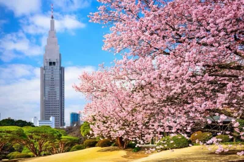 One Day Private Tokyo Tour With English Guide - Transportation and Itinerary