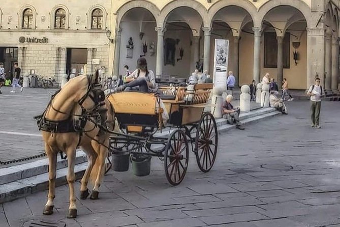One-Hour Tour Through the Historic Center and Half Renaissance Walls - Accessibility and Participation
