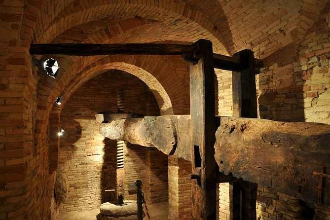 Organic Wine Tasting & Tasting of EVO Cantinarte OIL MUSEUM - Highlights of the Wine and Olive Oil Tasting