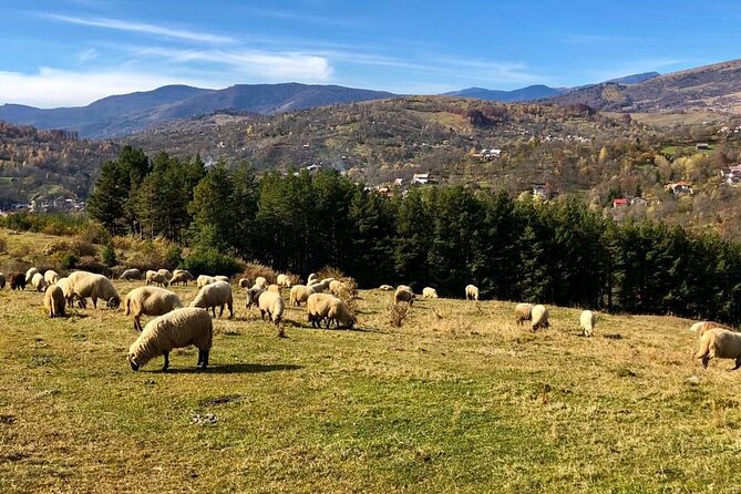 Original Carpathian Village Experience and Sinaia in One Day Tour - Inclusions