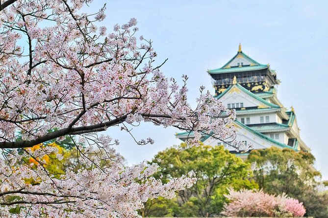 Osaka 8hr Private Tour With Government-Licensed Guide - Tour Features