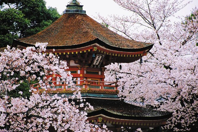 Osaka and Kansai Private Customized Day Tour - Traveler Experience and Feedback