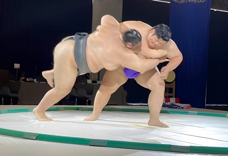 Osaka: Sumo Show & Experience W/ Optional Kimono & Hot Pot - Sumo Experience Details