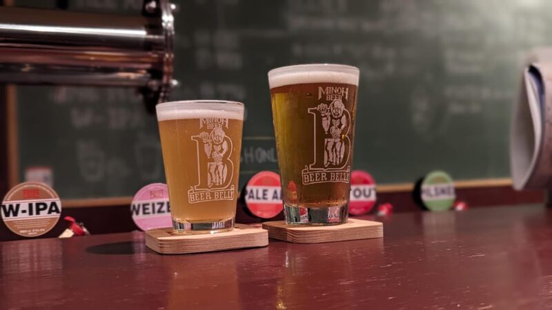 OSAKA : ULTIMATE 5 HOUR HISTORY FOOD WALKING TOUR - Itinerary Highlights