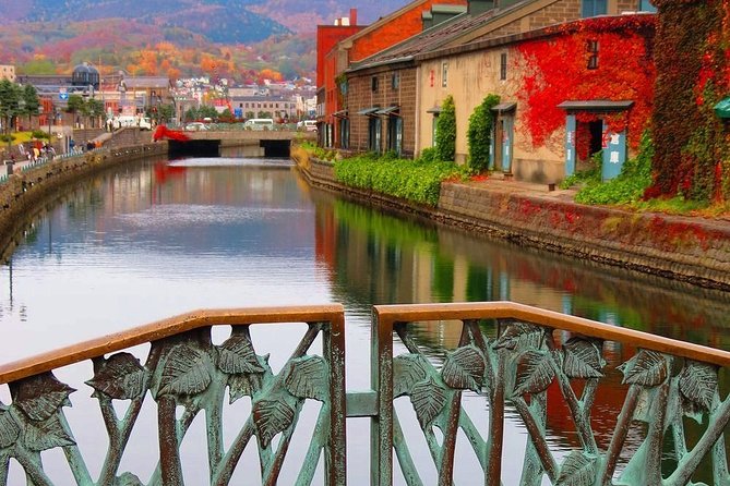 Otaru 6hr Private Trip With Government-Licensed Guide - Transportation Information