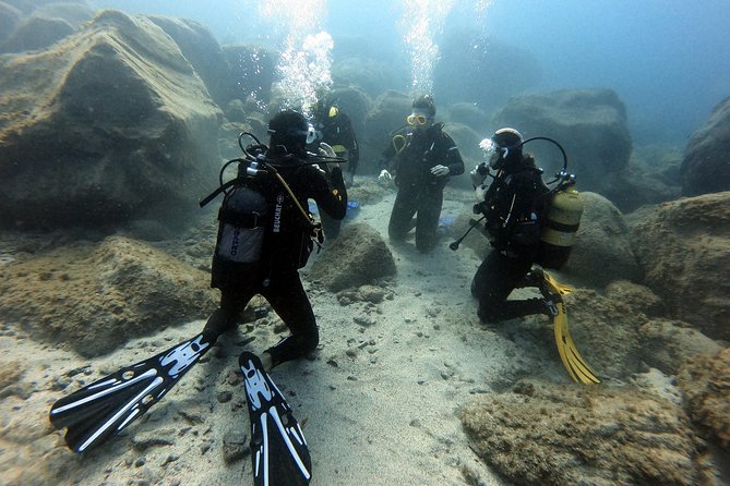 PADI Open Water Course in Costa Adeje - Pickup Information
