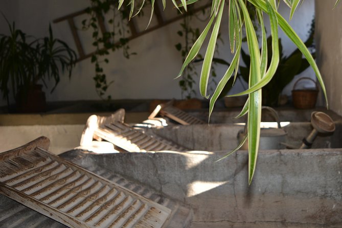 Patios & Perfums of Cordoba Festival Tour - Inclusions and What to Expect