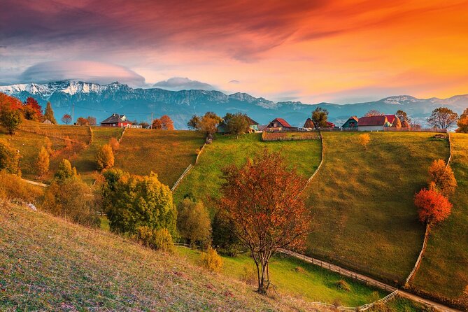 Pestera and Magura Full-Day Private Walking Tour From Brasov - Inclusions and Logistics
