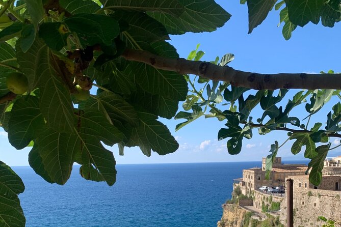 Pizzo Walking Tour, the Jewel of the Tyrrhenean Sea - Meeting Point and Transportation