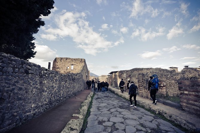 Pompeii & Its Ruins at Your Pace Review - Ticket Inclusions