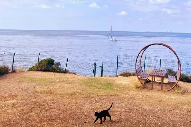 Princes Islands E-bike Tour - Meeting Point and How to Get There