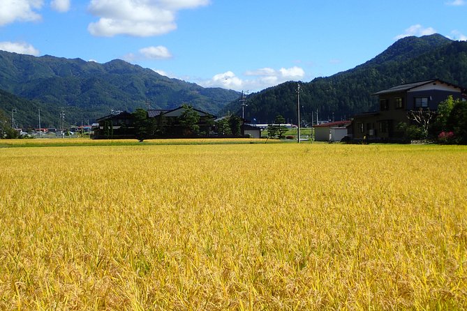 Private Afternoon Cycling Tour in Hida-Furukawa - Exploring Off-the-Beaten-Path Locations