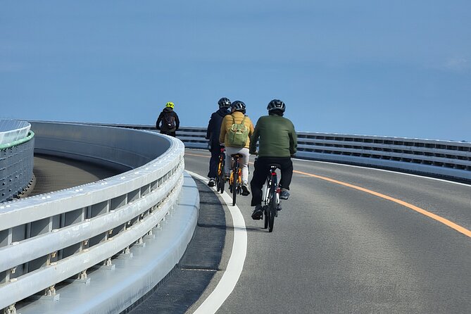 Private Amakusa National Park E-Bike Ride Tour With Guide - Meeting and Pickup