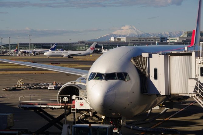 Private Arrival Transfer : Haneda International Airport to Tokyo Disney - Meeting and Pickup Procedure
