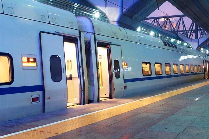 Private Arrival Transfer: Rome Train Station to Hotel - Pickup and Drop-off Details
