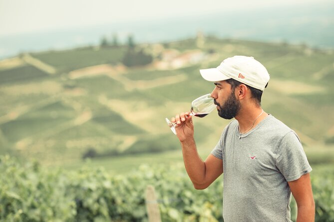 Private Burgundy Half Day Wine Tour by Vintage Land Rover - Accessibility and Participation
