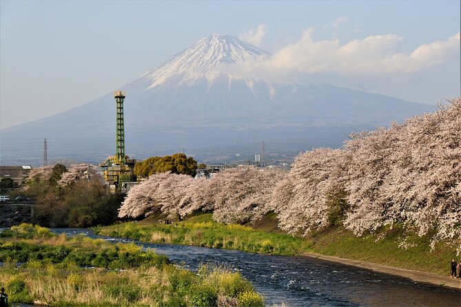 Private Car for Mt. Fuji 5th Station and More (Customizable) - Transportation and Amenities
