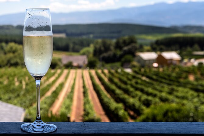 Private Champagne Day Trip to Vineyards of Reims With French Lunch From Paris - Customer Reviews and Ratings
