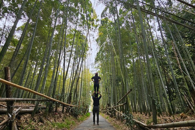 Private Customizable Tour in Kyoto - English Language Support and Insights