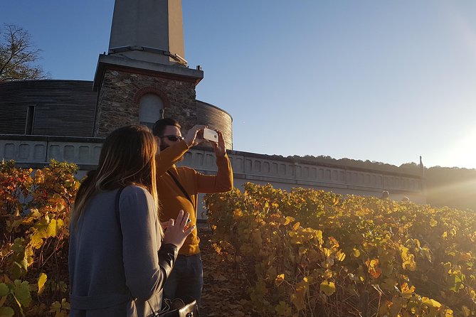 Private Day Tour in Champagne - Tour Inclusions