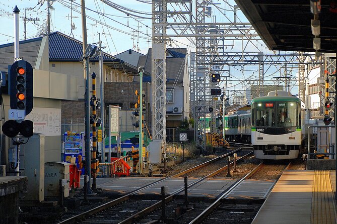 Private Day Tour in Tokyo With a Native English Speaker - Tour Guide Details