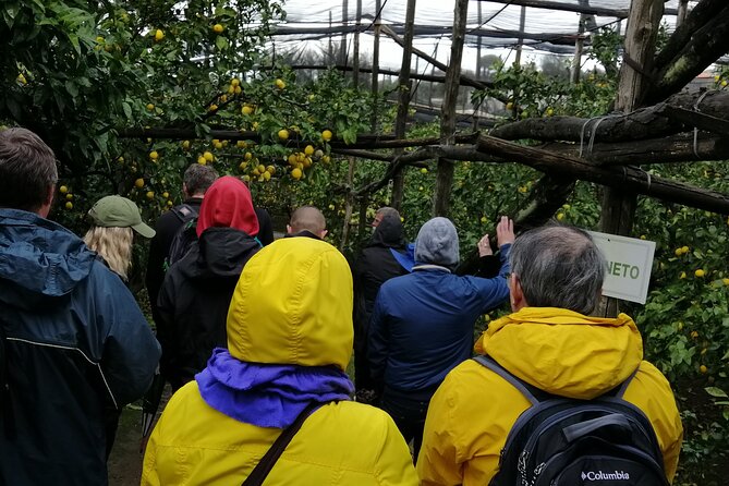 Private Day Tour: Sorrento, Positano, Amalfi and Ravello. - Itinerary and Highlights
