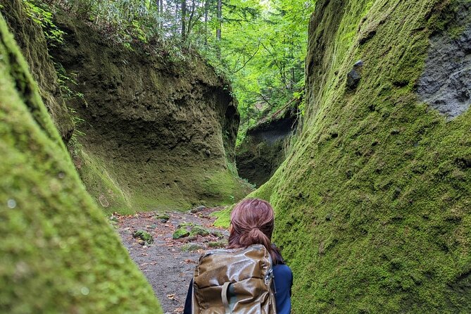 Private Day Trip of Lake Shikotsu and Moss Canyon - What to Expect During the Hike