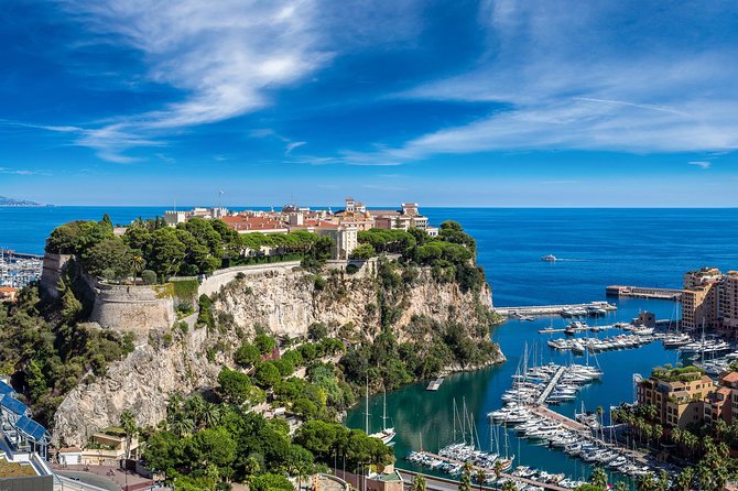 Private Day Trip: The French Riviera by Minivan - Tour Inclusions and Accessibility