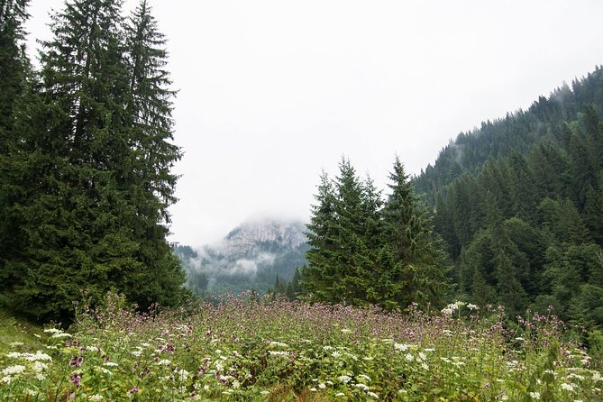 Private Daytrip Hike to Bucegi Mountains - Scropoasa Lake and Its Cascading Waterfalls