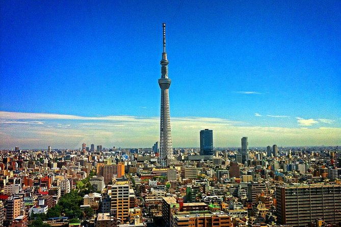 Private Departure Transfer : Central Tokyo City to Haneda Airport - Baggage Policy