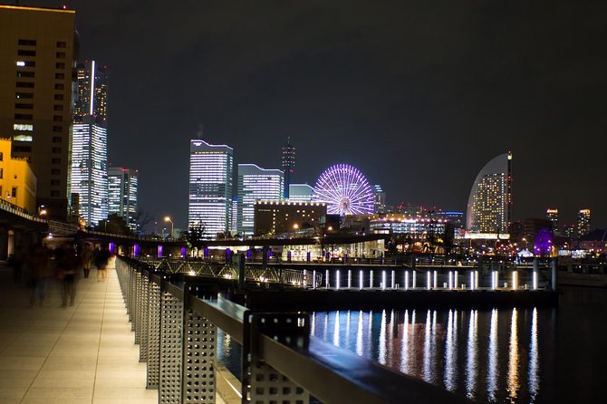Private Departure Transfer : Yokohama City to Haneda Airport - Vehicle and Capacity Information