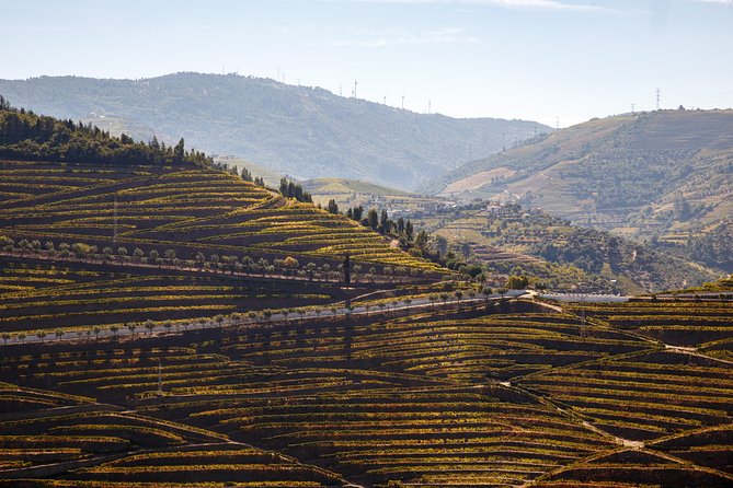 Private Douro 4x4 Adventure From Porto - Unique 4x4 Experience