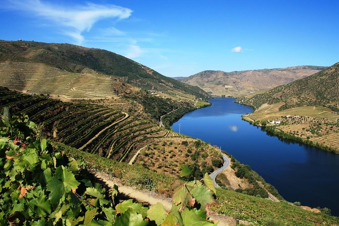 Private Douro Valley Visit to Three Vineyards With Lunch From Porto - Winery Visit and Wine Tasting
