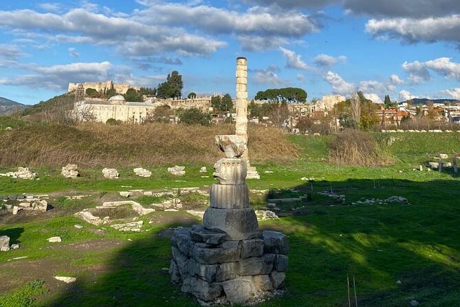 Private Ephesus and Artemis Temple Half Day Tour / On Time Return - Inclusions