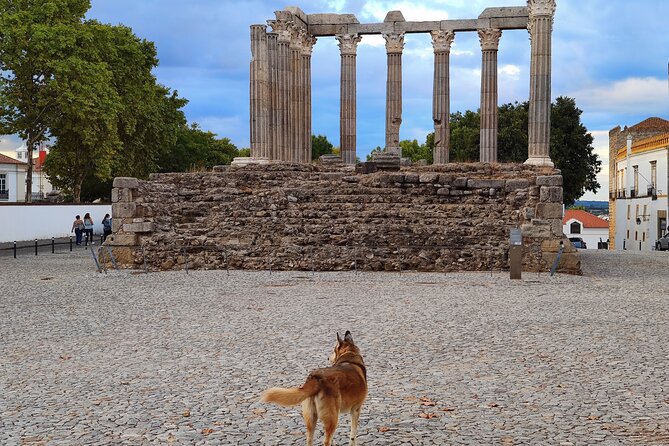 Private Évora Tour - Megaliths, Historical Center and Cork Region - Exploring the Megaliths