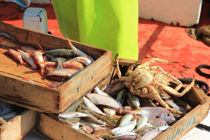 Private Fishing Tour From Athens With A Traditional Fishing Boat - Transportation and Logistics