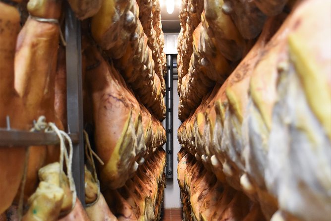 Private Full Day Parma Food Tour: Parmesan Cheese, Parma Ham, Lunch, Vinegar - Parmesan Cheese Factory Visit