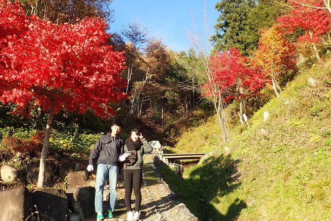 Private-group Morning Cycling Tour in Hida-Furukawa - Exploring Hidas Rural Landscapes