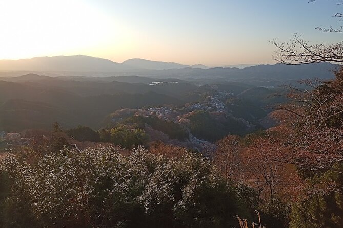 Private Guided Half-Day Walking Tour in Yoshinoyama - Meeting and End Points