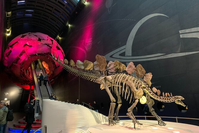 Private Guided Tour of Natural History Museum - Skip the Line - Tour Inclusions
