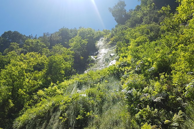 Private Guided Walk Levada Do Rei - Pickup and Dropoff Arrangements