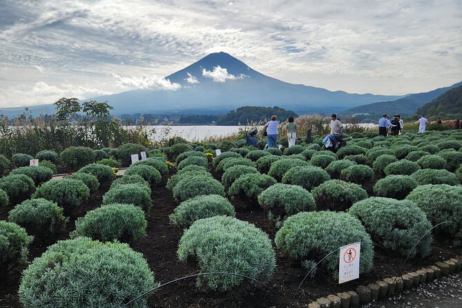 Private Hakone Mt Fuji Tour With English Speaking Driver - Exploring Hakone